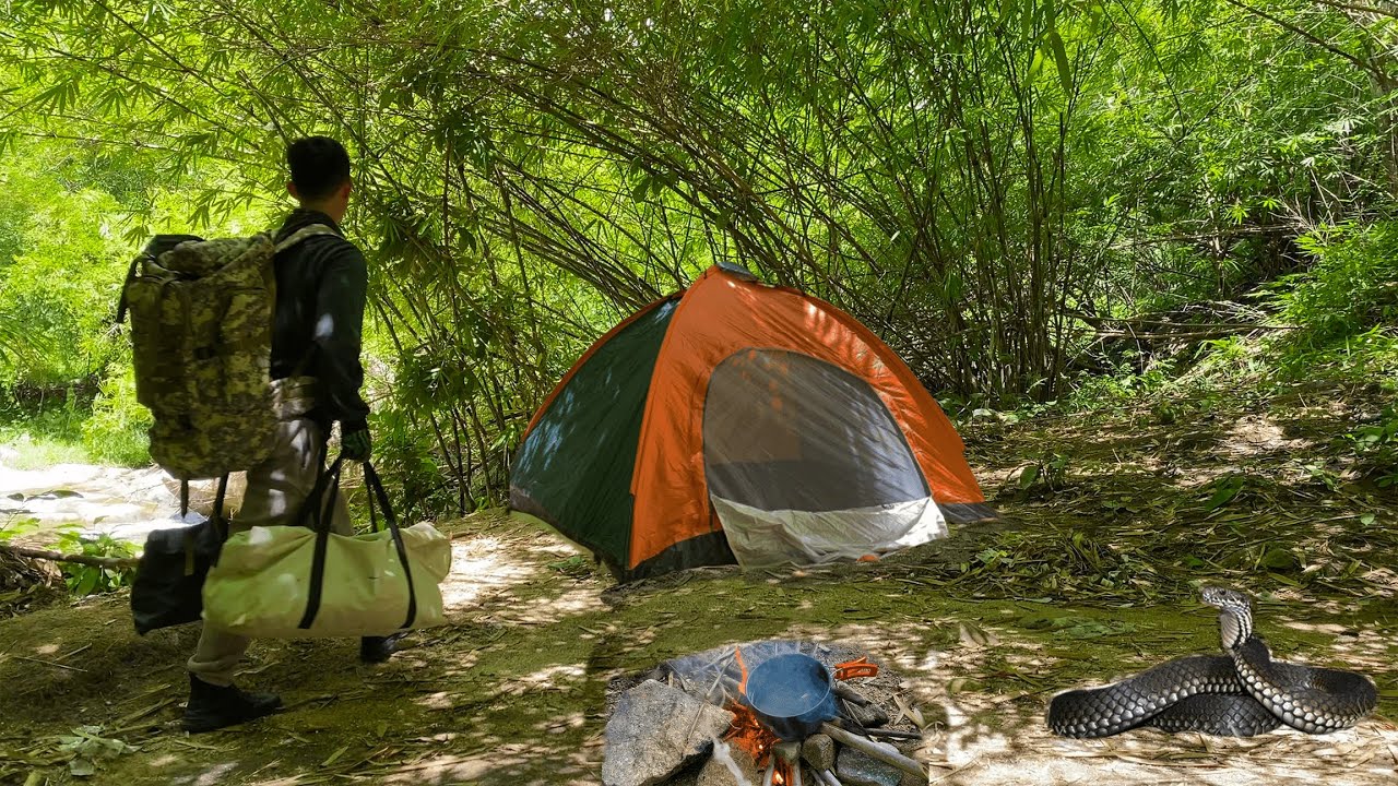 I ALMOST - ‘‘Stepping on a Snake While Camping in the Wild’’ - YouTube