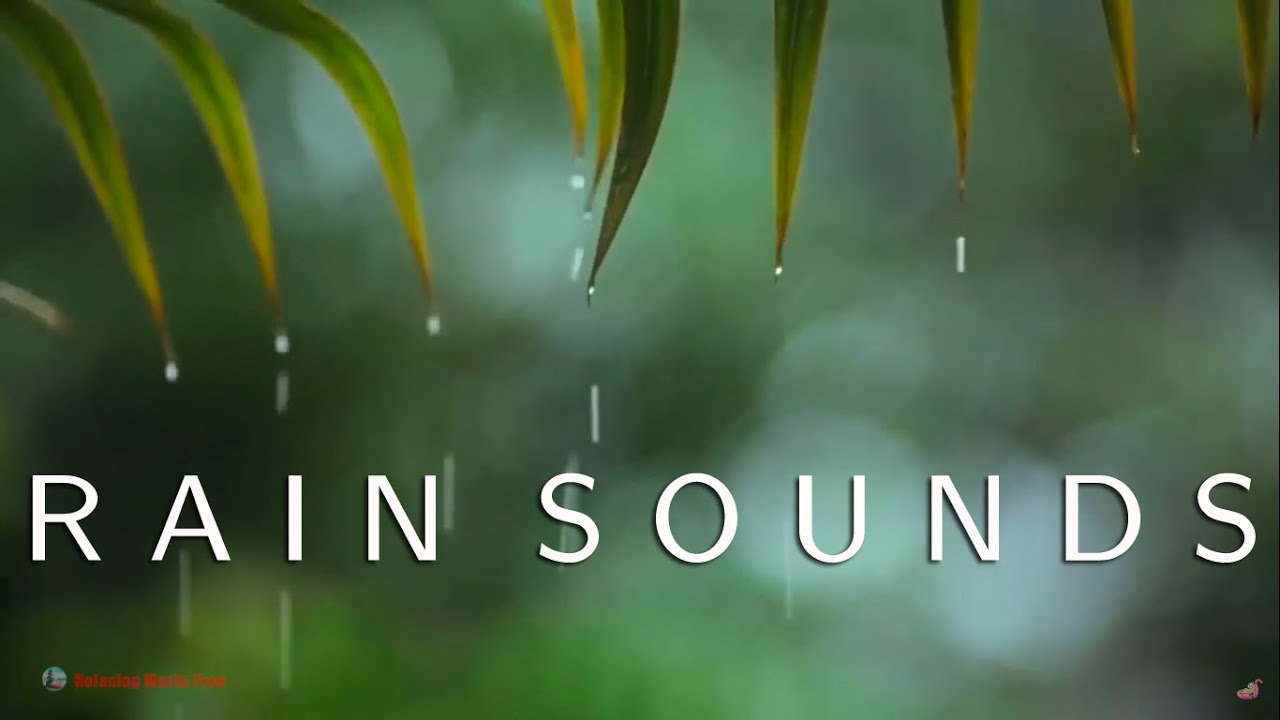 Relaxing Music & Rain Sounds Beautiful Piano Music, Background Music ...