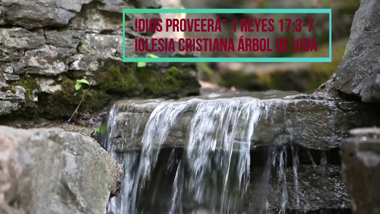 Elías en cuarentena en el arroyo de Querit! - YouTube