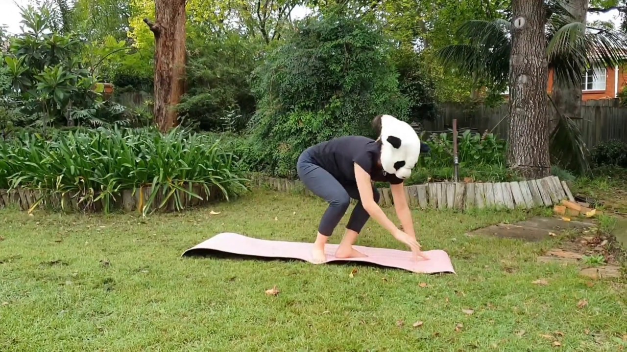 [Training Panda] Episode 1 - Can Panda do IT?! Yoga (The Wheel) - YouTube