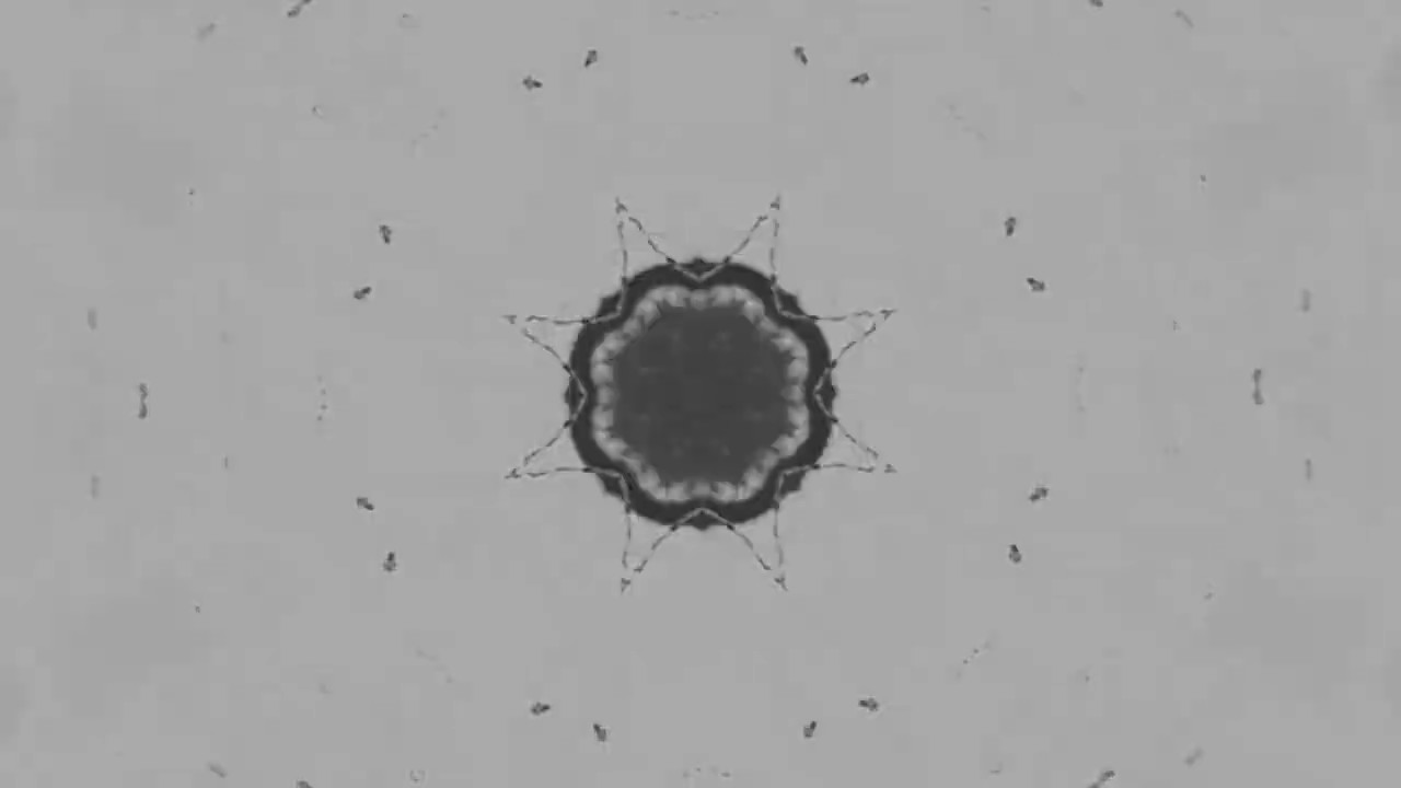 Hydergine - Pervasive Depth (ft Luke Hess) [Ranges09] - YouTube