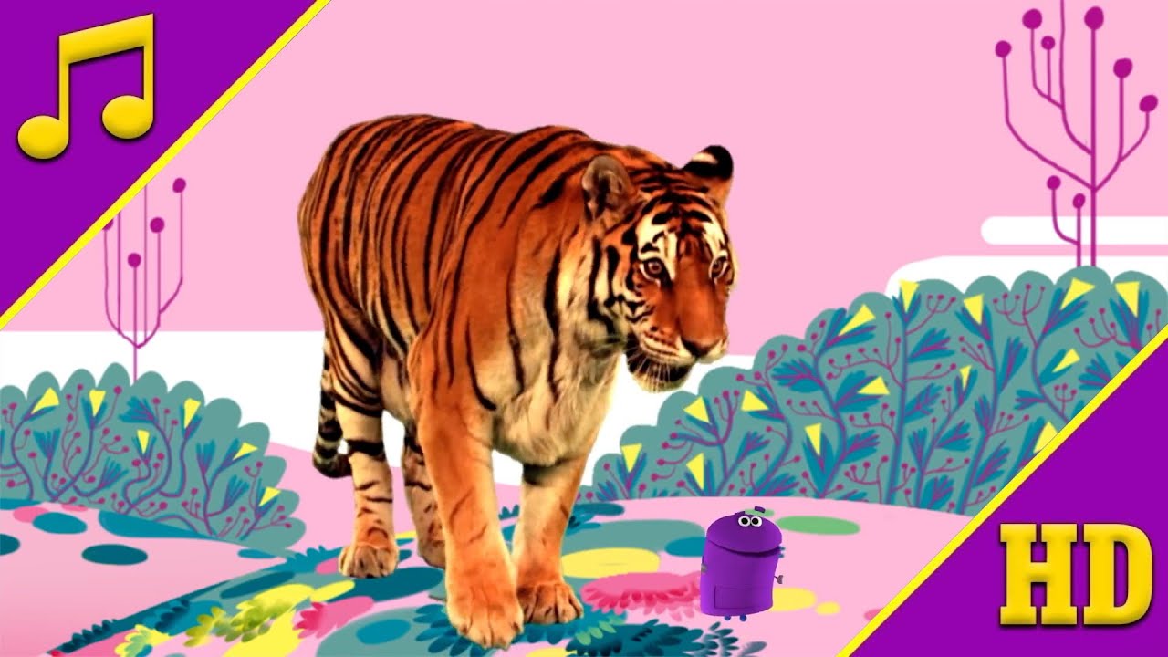 Tiger in the Jungle (Sing-Along) | StoryBots - YouTube
