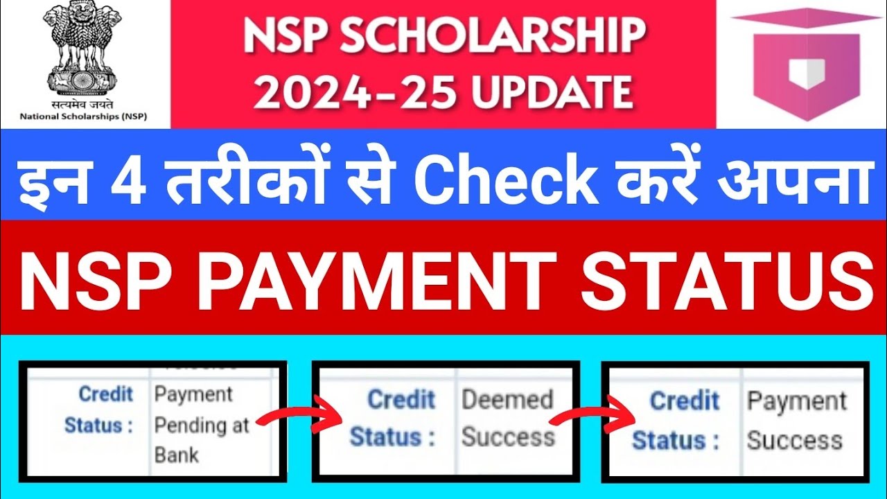How To Check PFMS Payment Status NSP ☑️ ! Track NSP Payment PFMS ! PFMS Payment Status Check ...