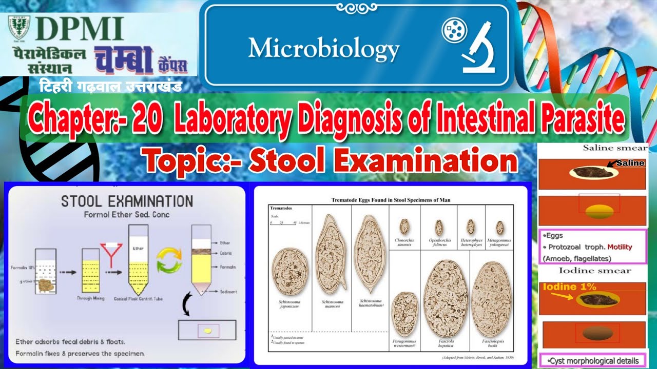 Stool examination || Laboratory Diagnosis of Intestinal Parasite - YouTube