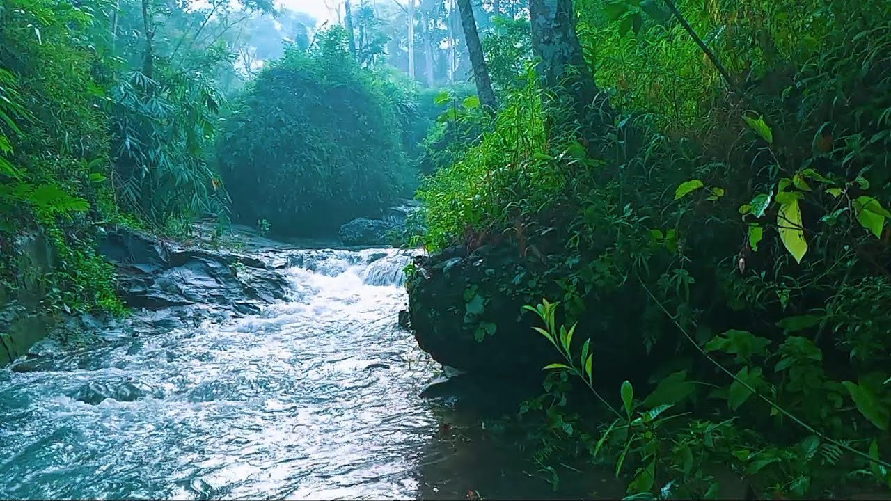 Relaxing Mountain Stream: Nature's Harmony for Restful Sleep - YouTube
