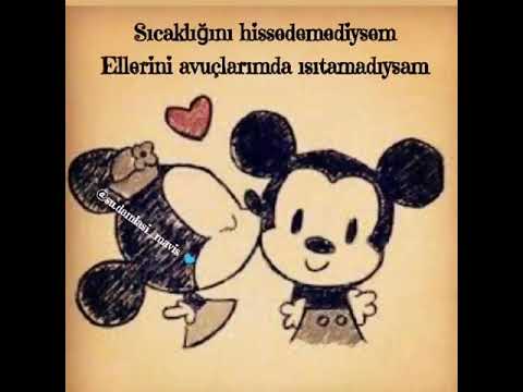 En sevdiğin can dostuna slayt 😊😘😙