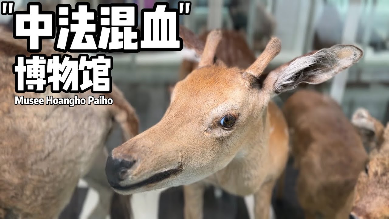 Tianjin's Musée Hoangho Paiho + Old-School Chinese-Western Fusion ...