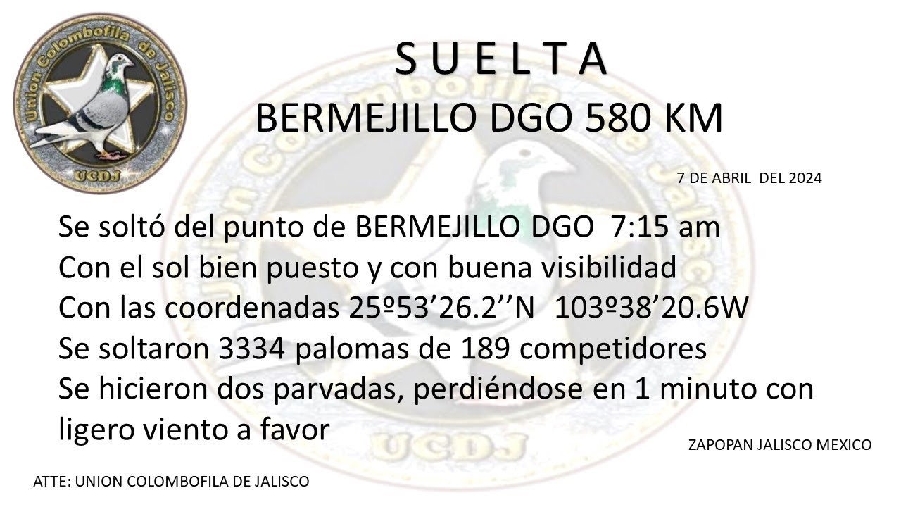 Llegada de la Semifinal, Bermejillo Dgo 580 km vs 3,334 Palomas y 186 ...