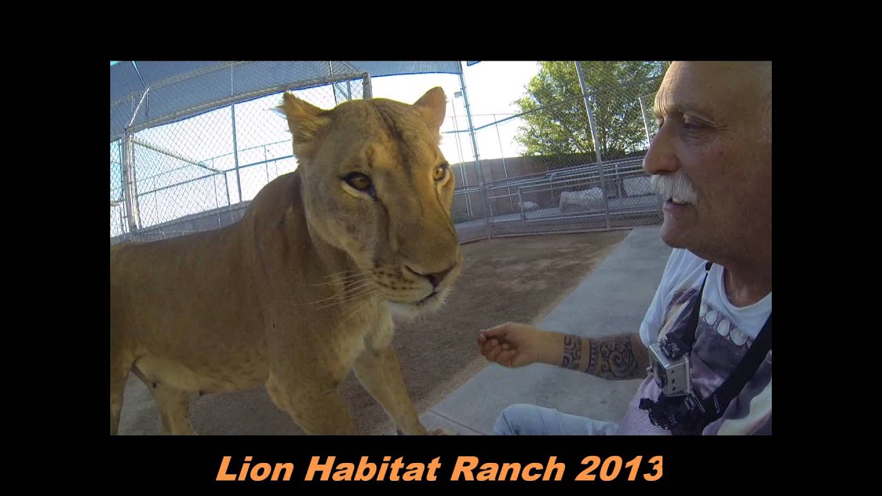 almost kisses - YouTube