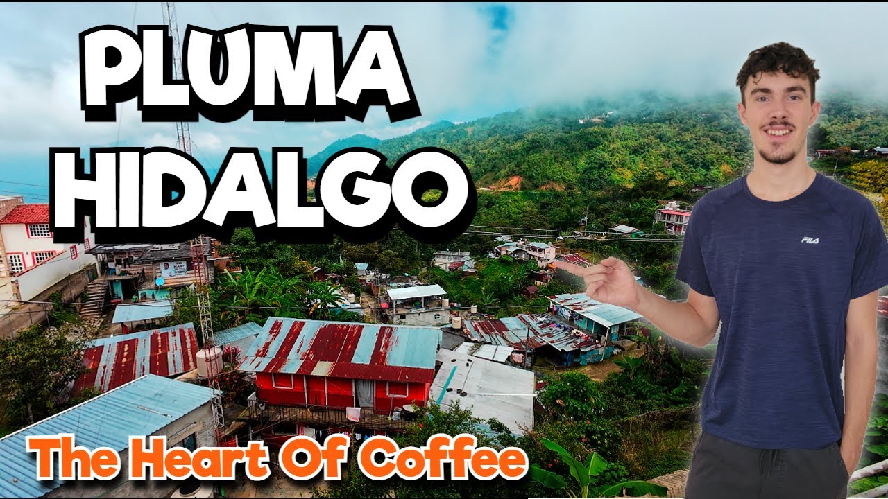 Exploring The Lost Coffee Of Pluma Hidalgo... - YouTube
