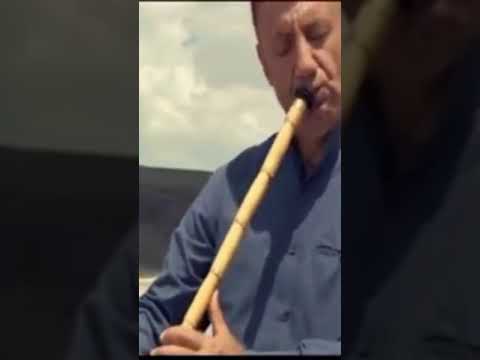 Arpanatolia (Gel Gör Beni Aşk Neyledi)
