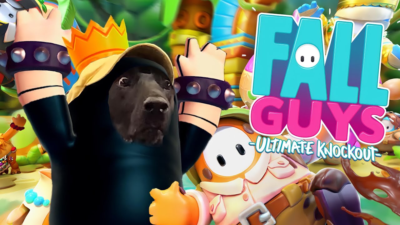 THE BEST FALL GUYS PLAYERS YOU WILL EVER SEE | Fall Guys Ultimate ...