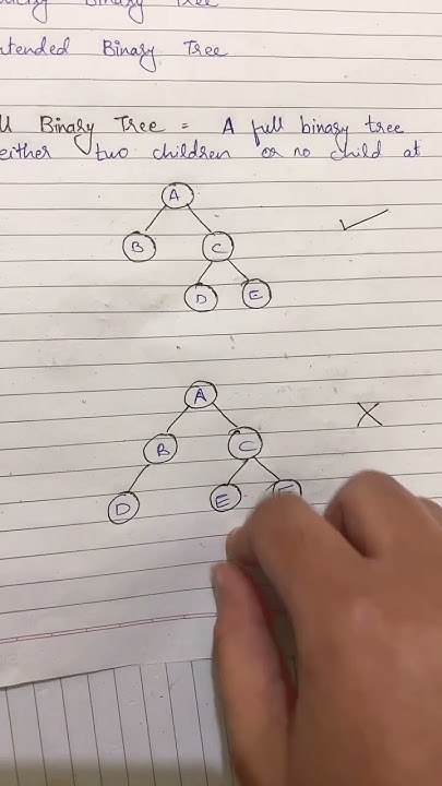 Full Binary Tree Explained Easy In Hindi Binarytree Datastructure Computerscience