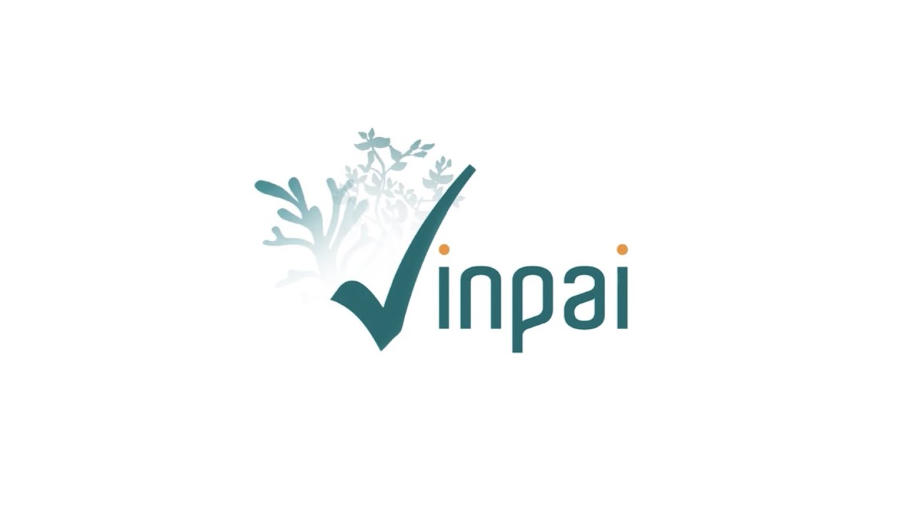 VINPAI : Building our future is our raison d'être - YouTube