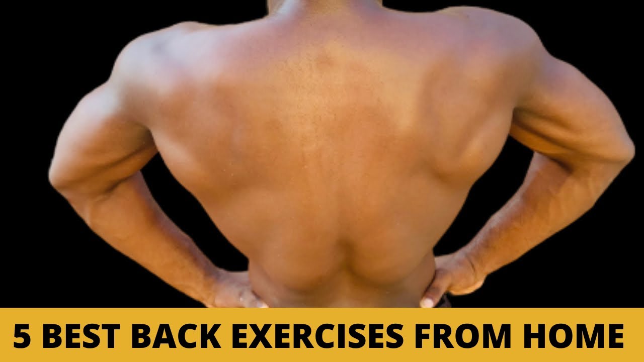 BIG BACK WORKOUT AT HOME (NO GYM EQUIPMENT) | Home Exercises - YouTube