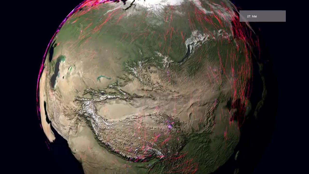 Global animal movements based on Movebank data (globe) - YouTube