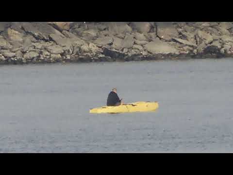 Nikon coolpix A1000 super-zoom pocket camera video+photo samples (4k)