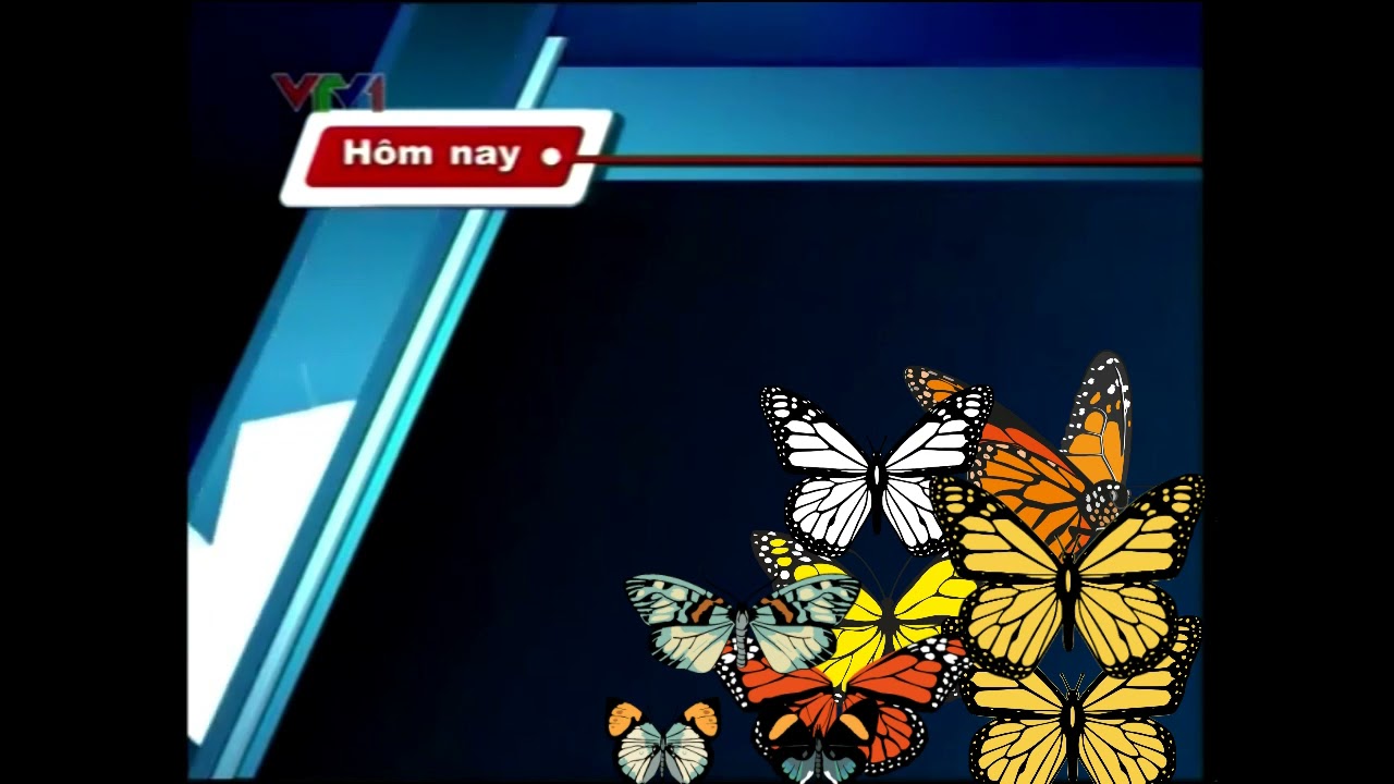 Mẫu GTCT VTV1 2011 19h00 (Nền bướm) | NETVN - YouTube