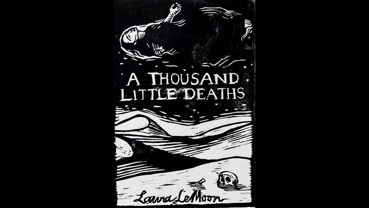 Author Chat with Laura LeMoon - YouTube