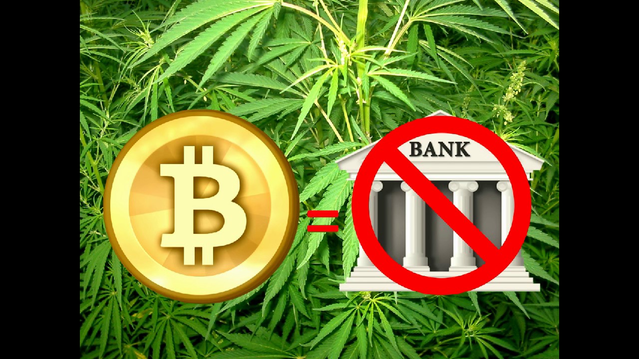 Bitcoin helps Marijuana growers sidestep banking issue - YouTube
