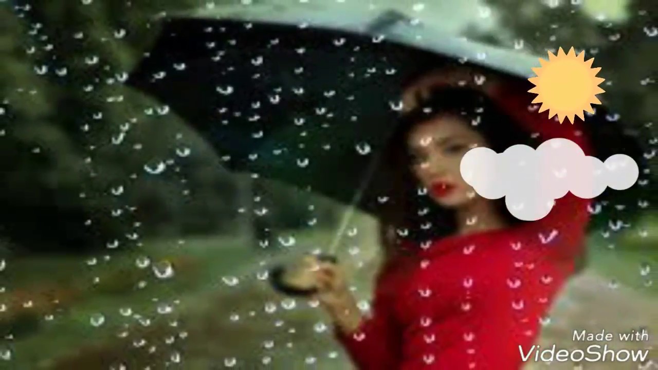 Happy Rainy Season Wishes | WhatsApp Status Video | Rainy Day Greeting ...