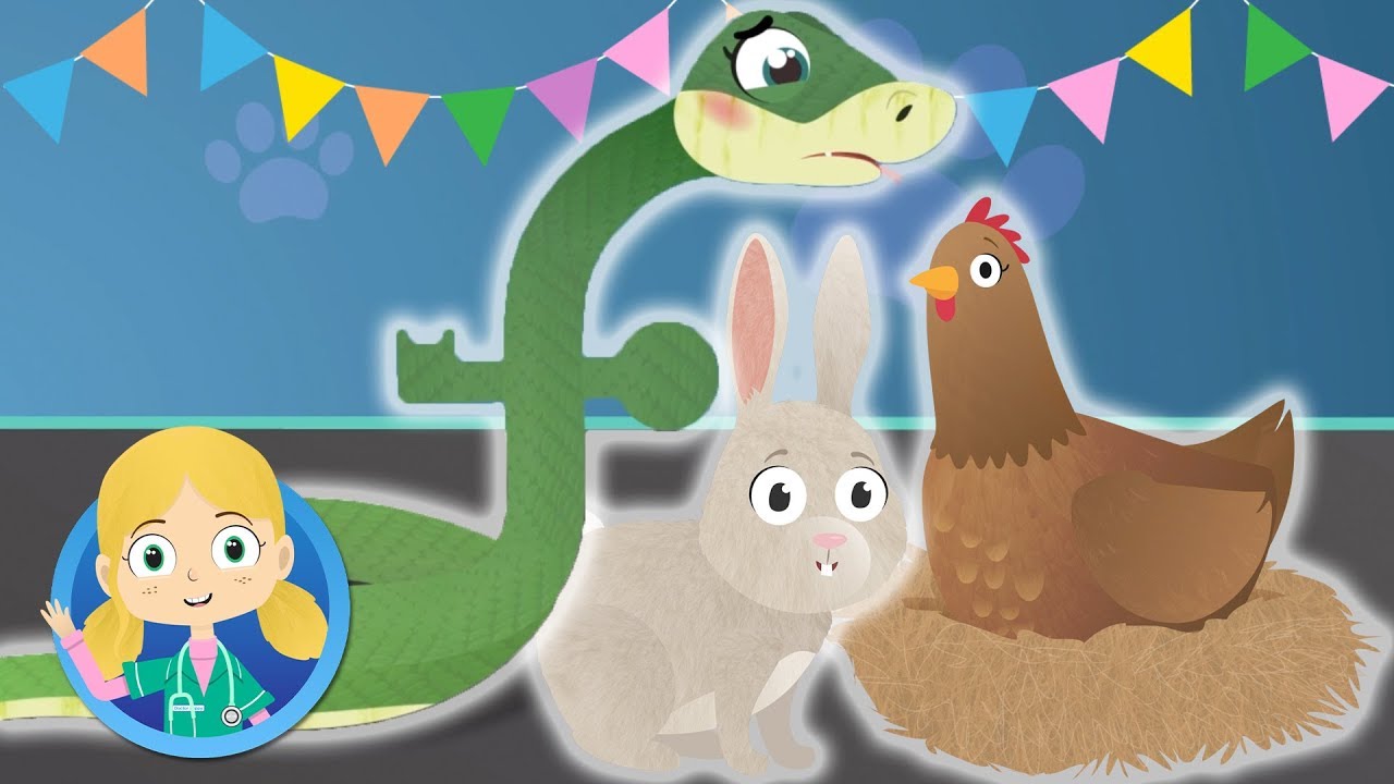 Sally the Snake | Doctor Poppy’s Pet Rescue | Animal Cartoons for ...