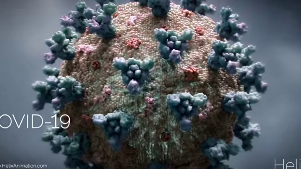 3D Animation : SARS-CoV-2 virus transmission leading to COVID-19 - YouTube