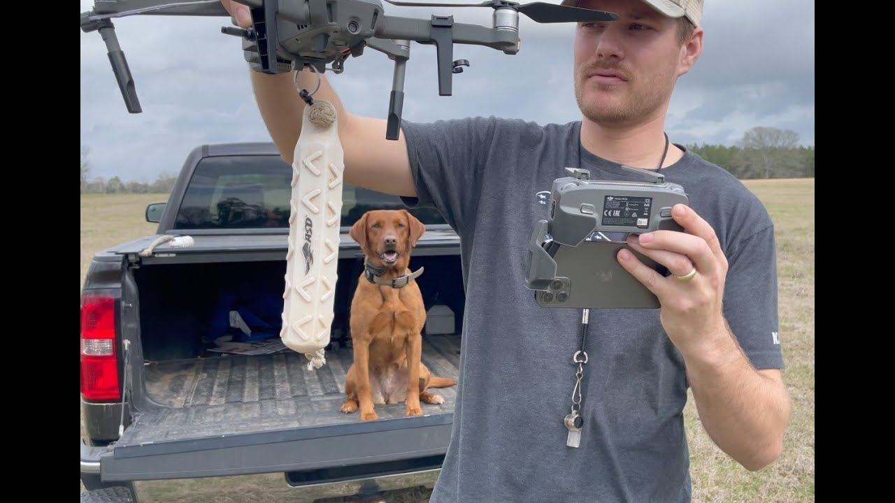 How To Use A Drone For Dog Training- Duck Dog Drills - YouTube