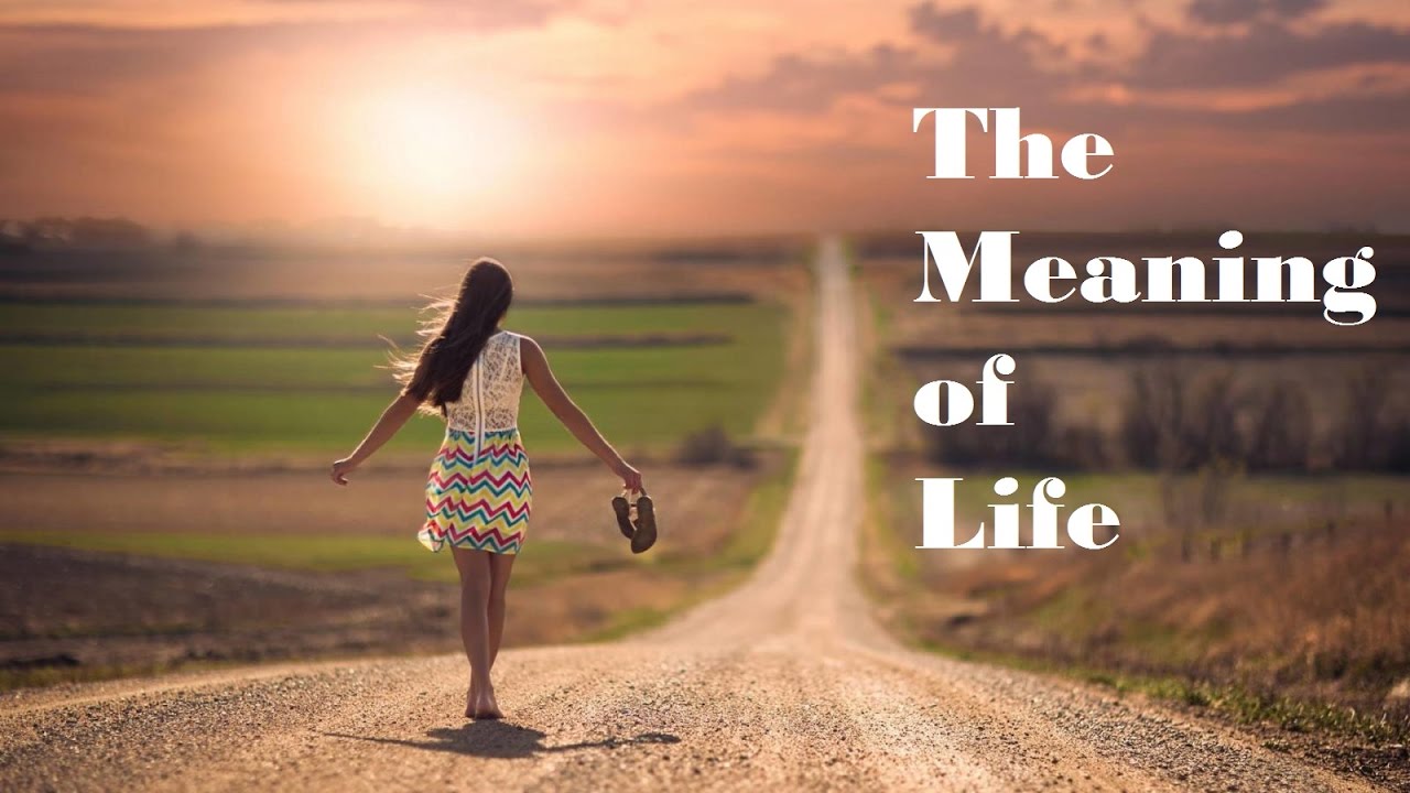 The Meaning of Life - In 13 Minutes - YouTube