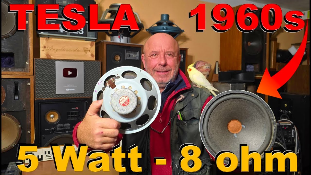 TESLA Bass Speakers: Evolution, Sound, & Secrets - TESLA ARZ 668 - YouTube