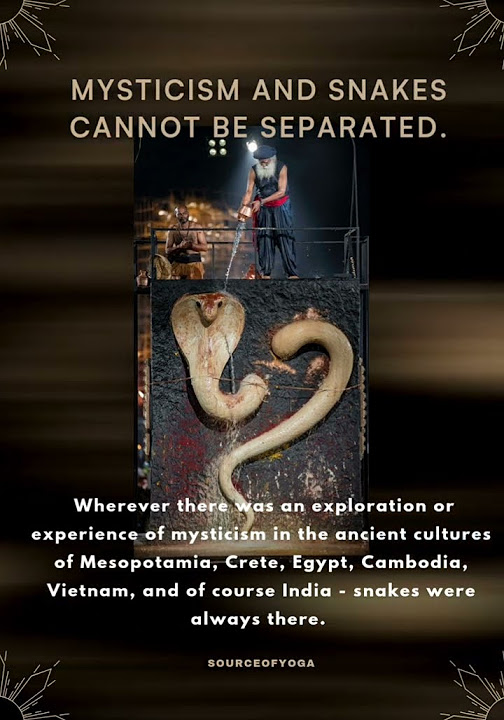 Snakes and Spirituality: The Mystical Legacy of Serpents in Ancient ...