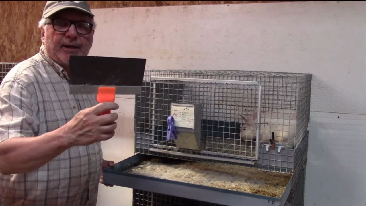 Tray Cages - YouTube