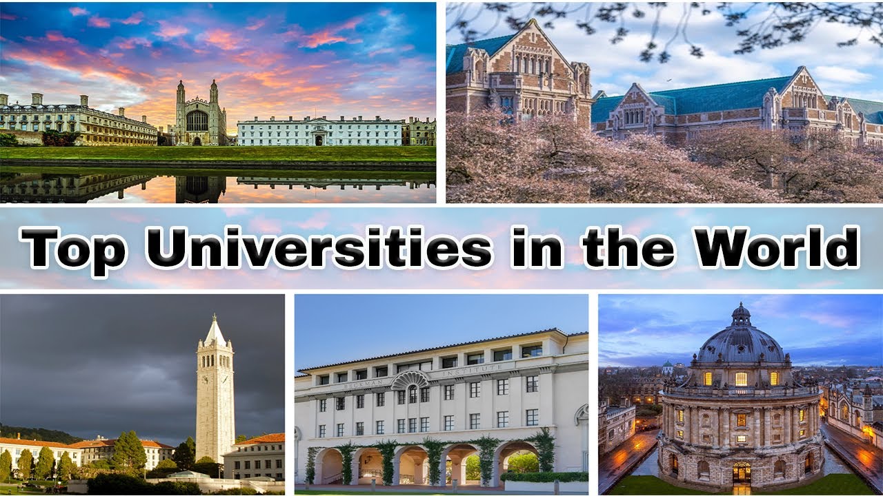 Top universities of the world | Top Trending Trend - YouTube