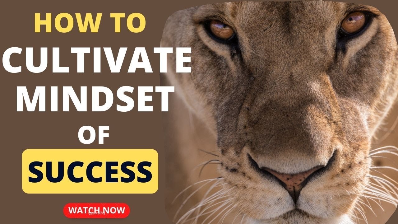 Unleash Your Inner Lion: A Motivational Speech and Best Quotes on the ...