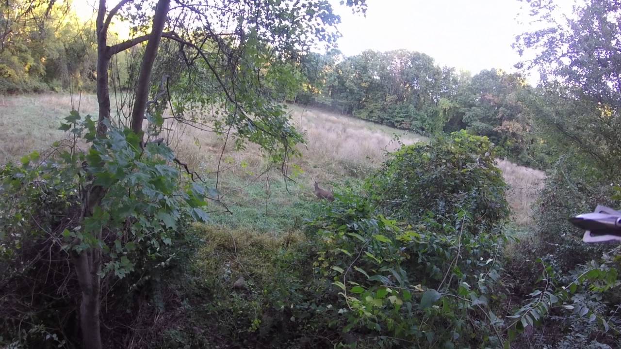 5 point buck with hickory creek mini inline vertical crossbow - YouTube