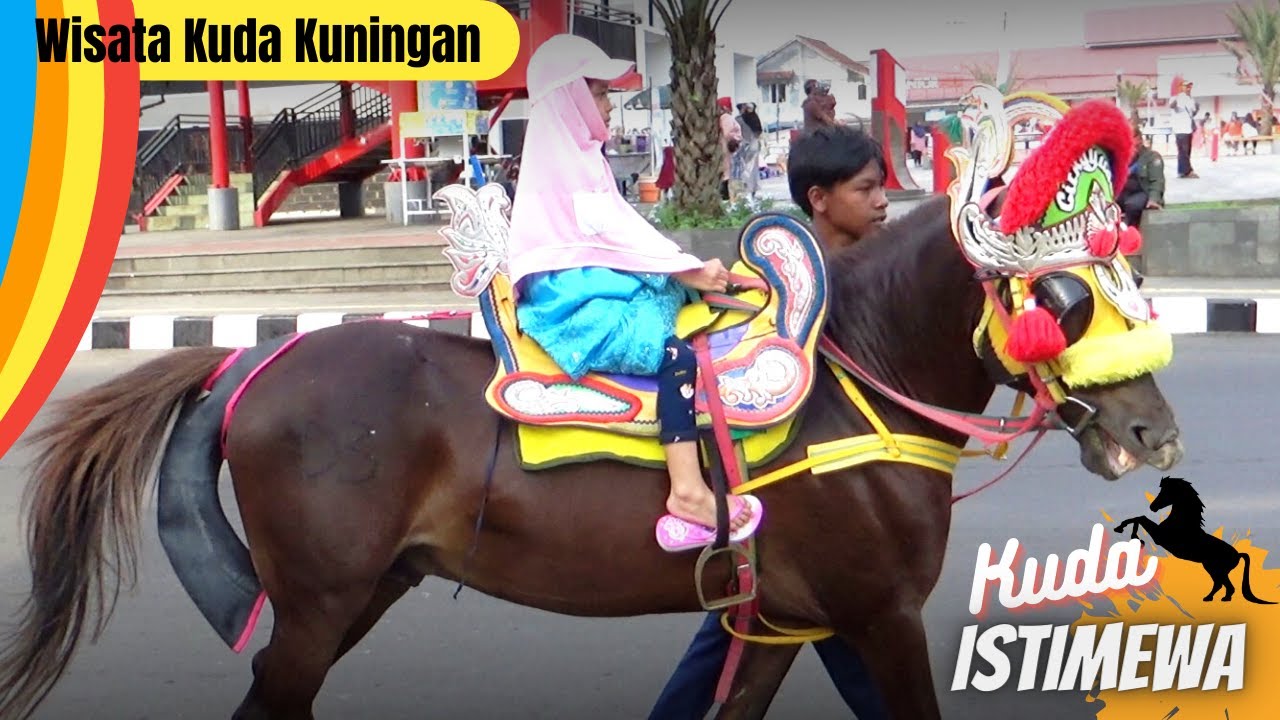 Wisata Kuda Delman Hias Taman Kota Kuningan || Kuda Istimewa di Kota ...