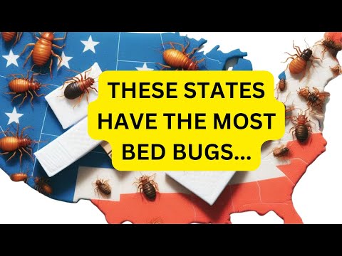 What Country Has The Most Bedbugs