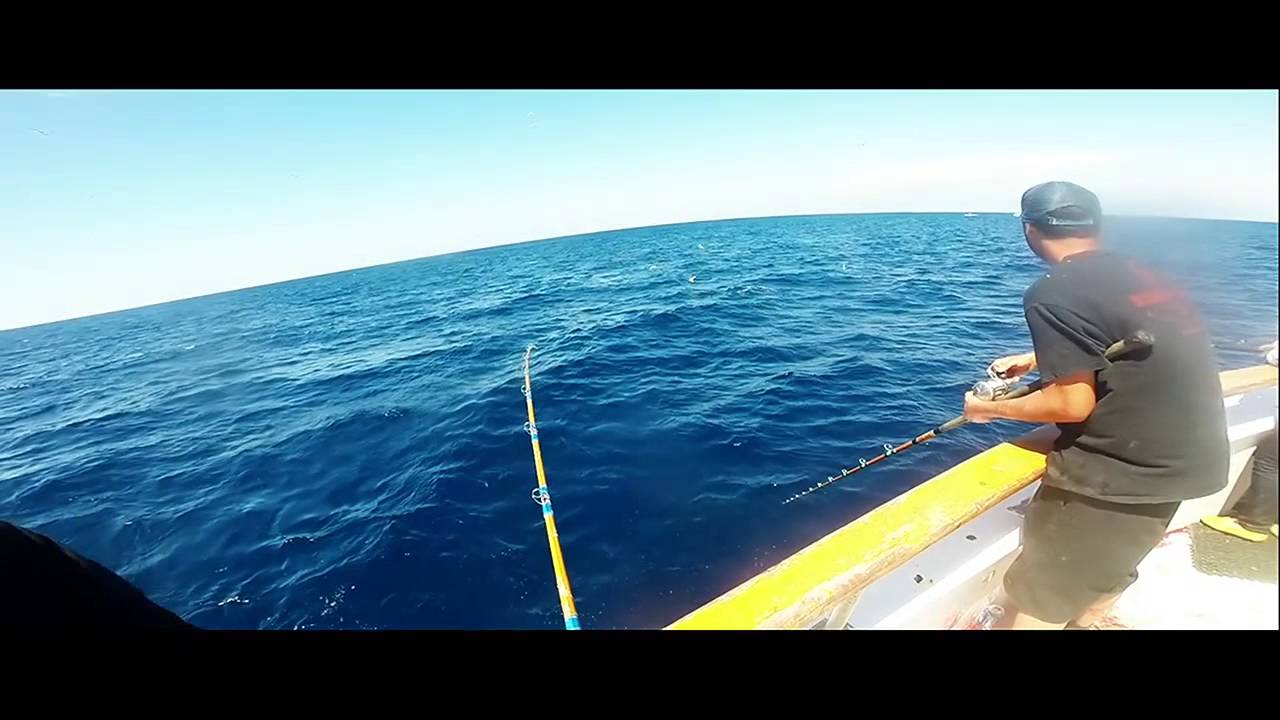 San Diego Fishing: (Malihini 3/4 Day) - Lucky #7, Yellowfin Tuna 21-AUG ...