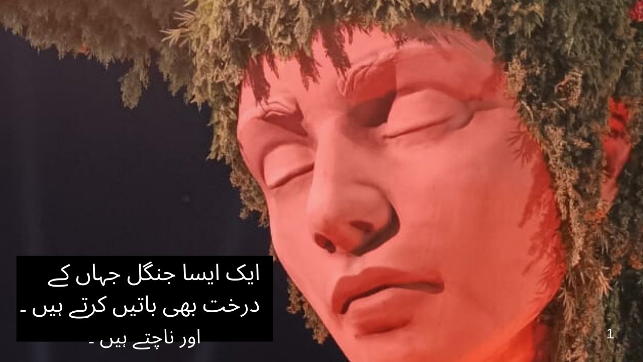 The Wonder Garden was established as a recreational space to bring ...