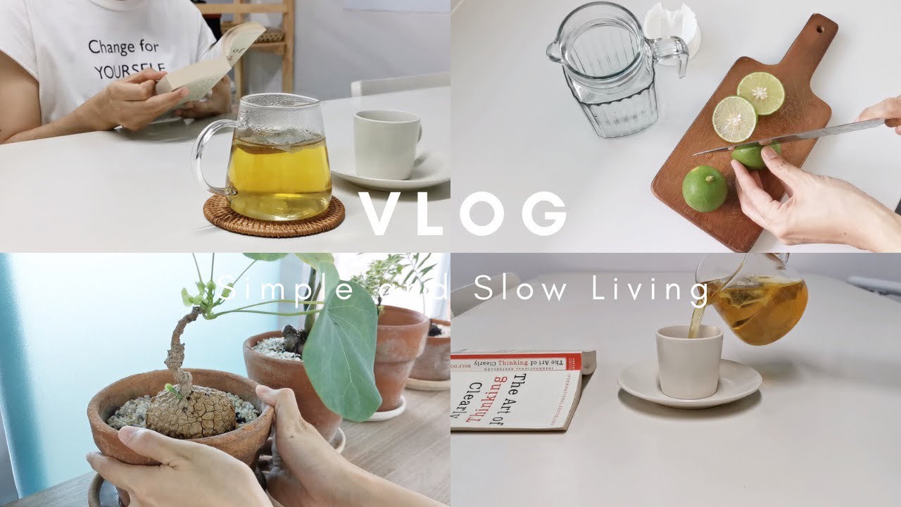 Simple and Slow Living Vlog l Productive and Calm Evening Routine l ...
