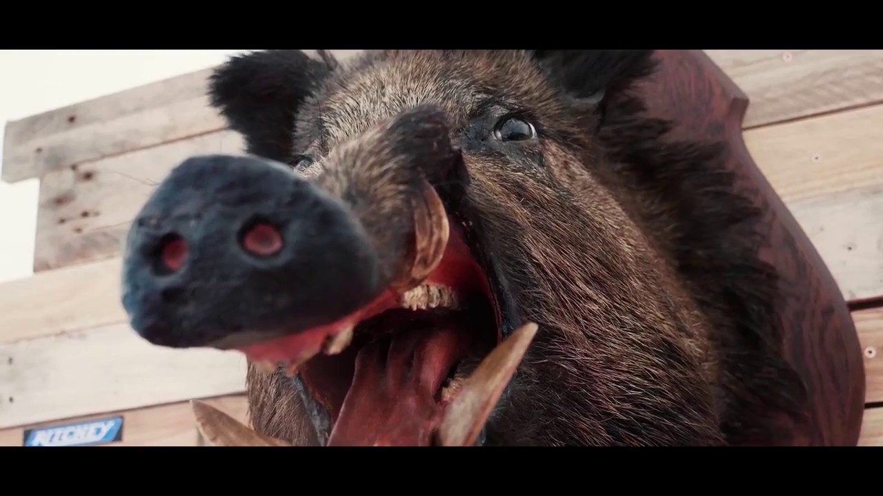 This was the 2017 Dirty Boar Gravel Ride - YouTube