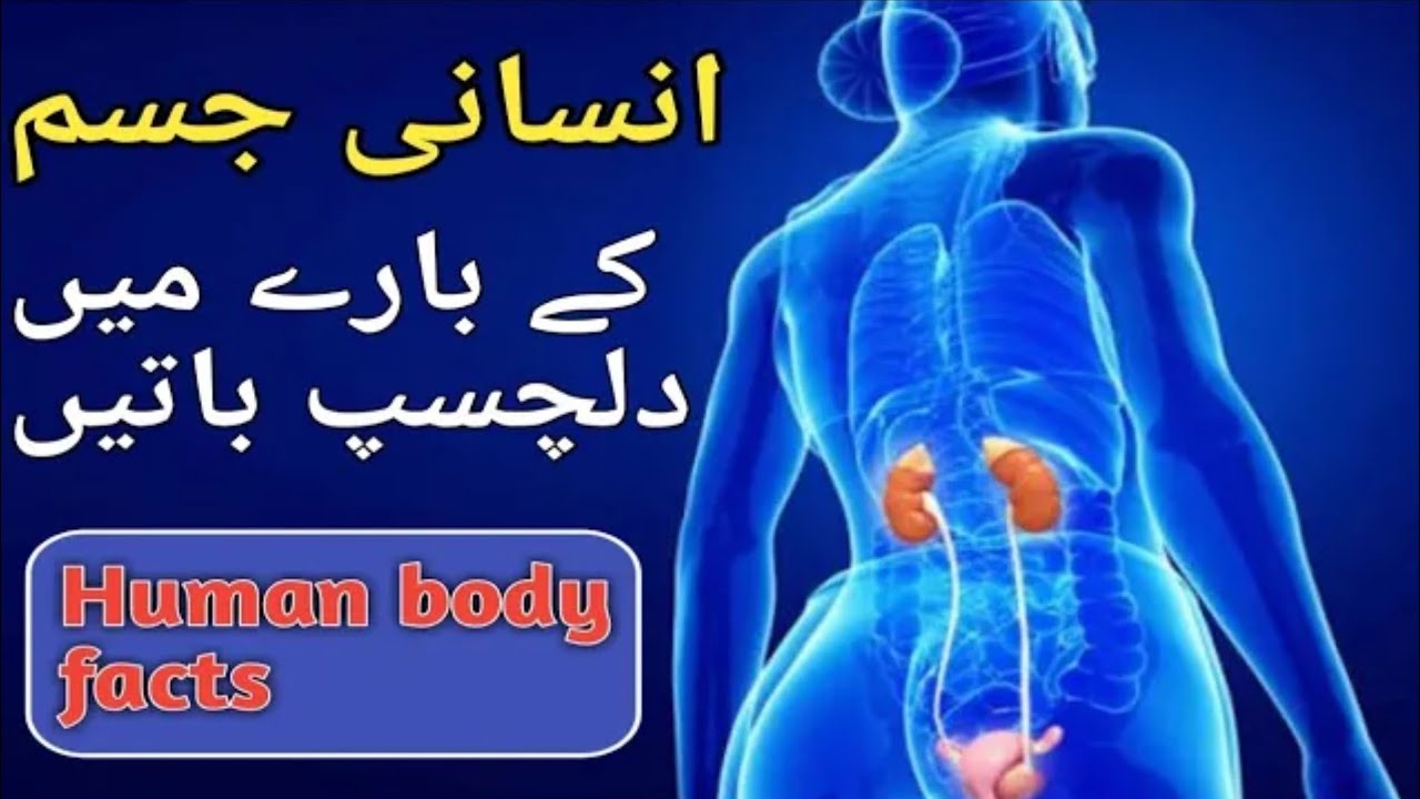 human-body-amazing-facts-in-urdu-insani-jisam-ke-raaz-jo-ap-nahe