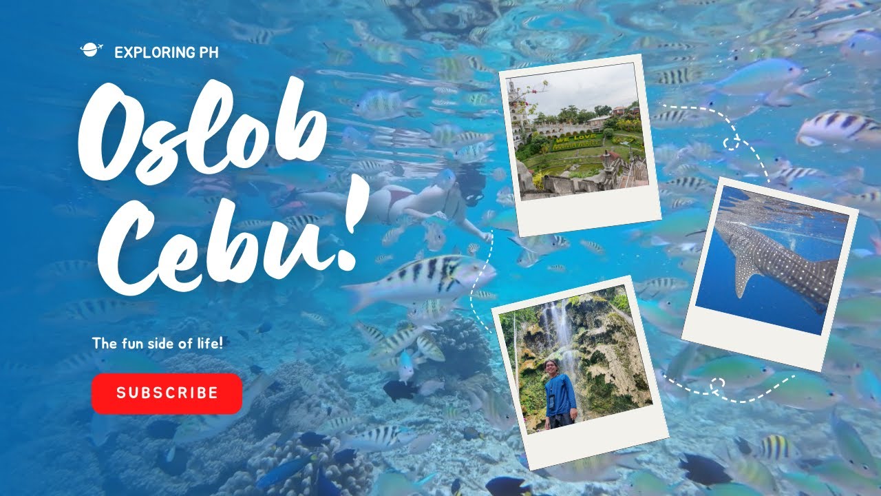 Cebu Travel Guide - Day 3 Oslob Tour | 3D2N Itinerary and Budget - YouTube