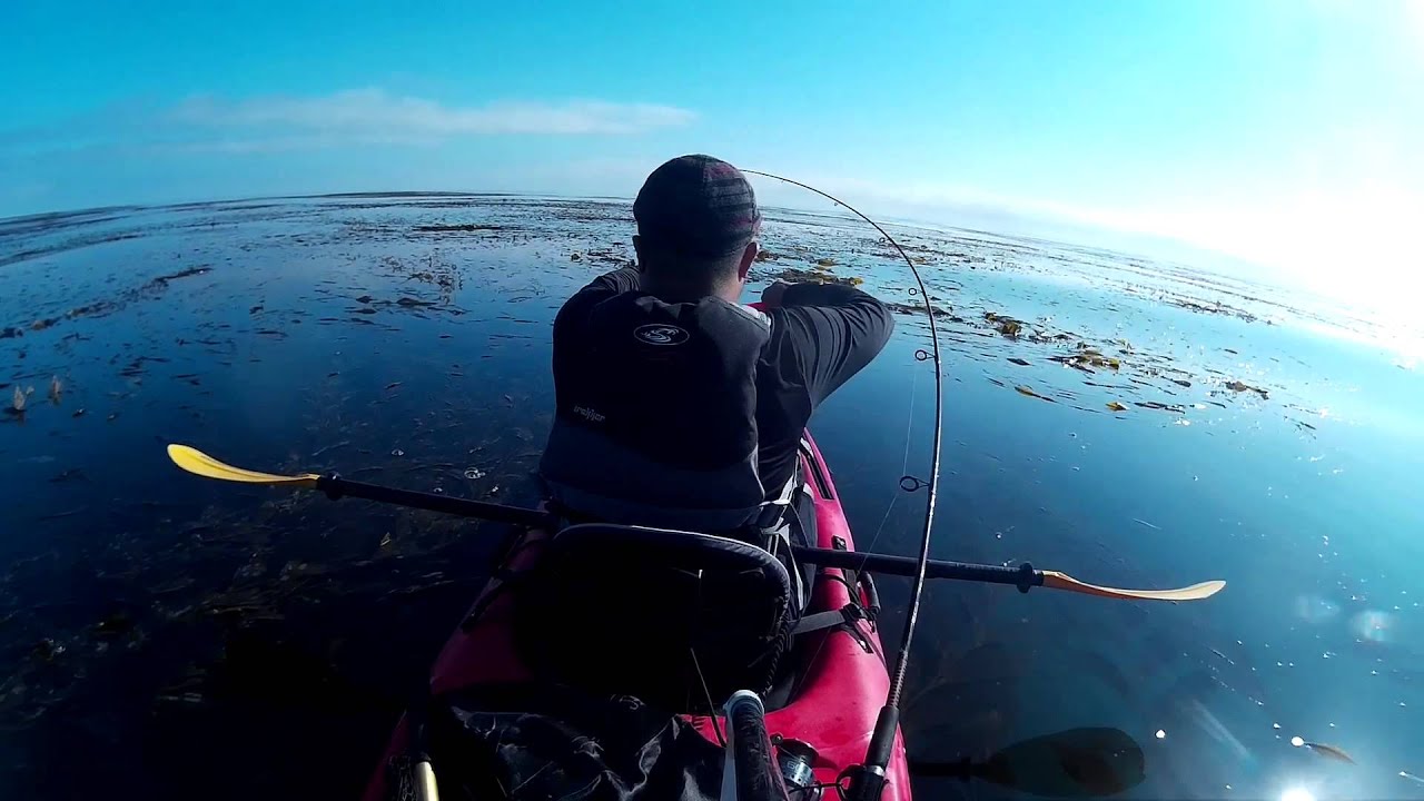 California rockfish fishing - YouTube