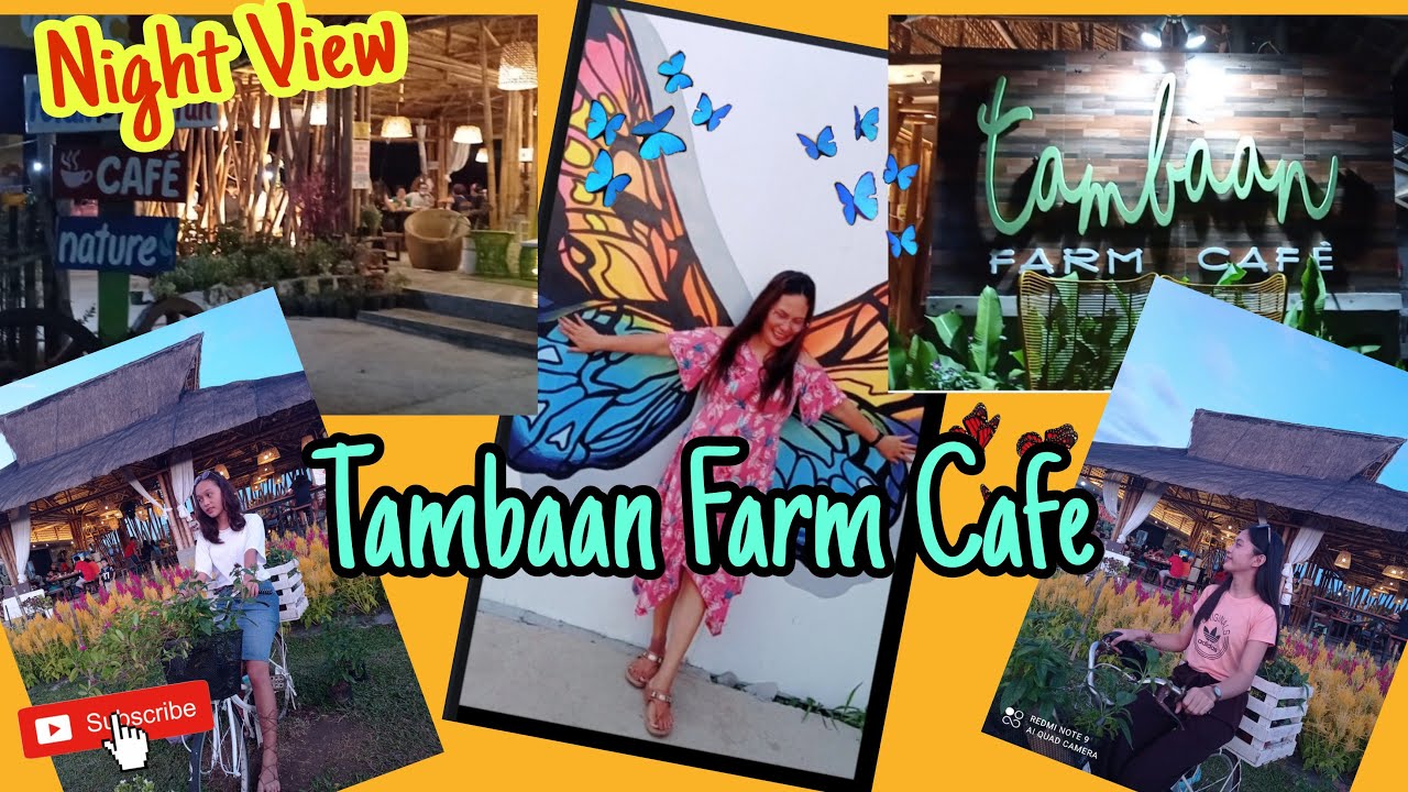 Part2 Tambaan Farm Cafe|A million flower in HilongosLeyte|MomBrel - YouTube