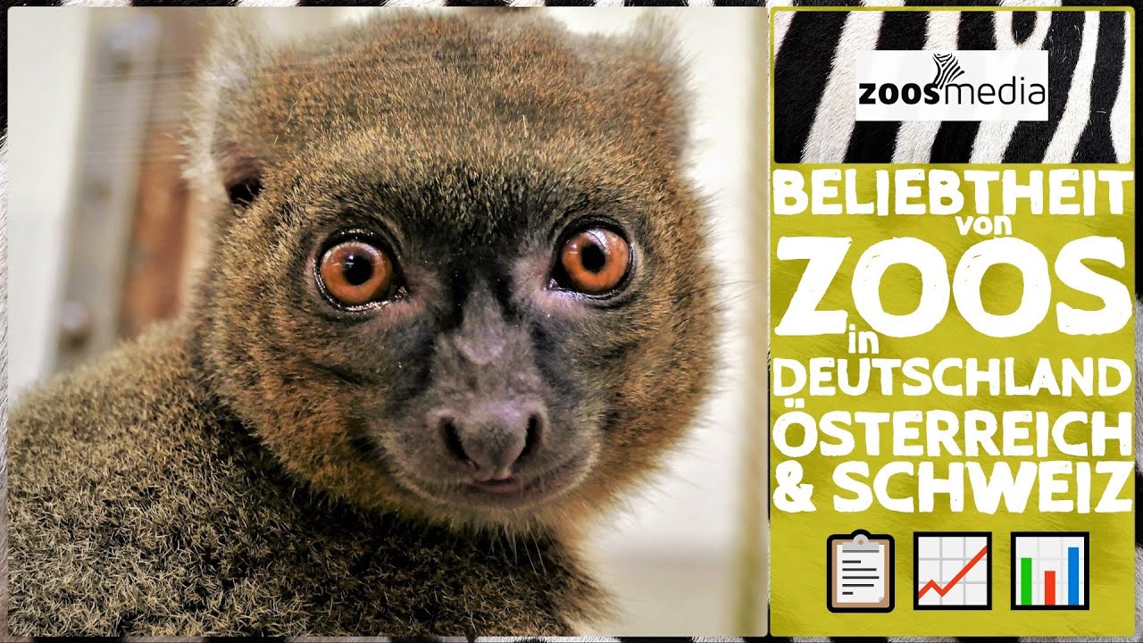 Beliebtheit von ZOOS in Deutschland, Österreich und der Schweiz 🦓 ... Beliebtheit von ZOOS in Deutschland, Österreich und der Schweiz 🦓 ...