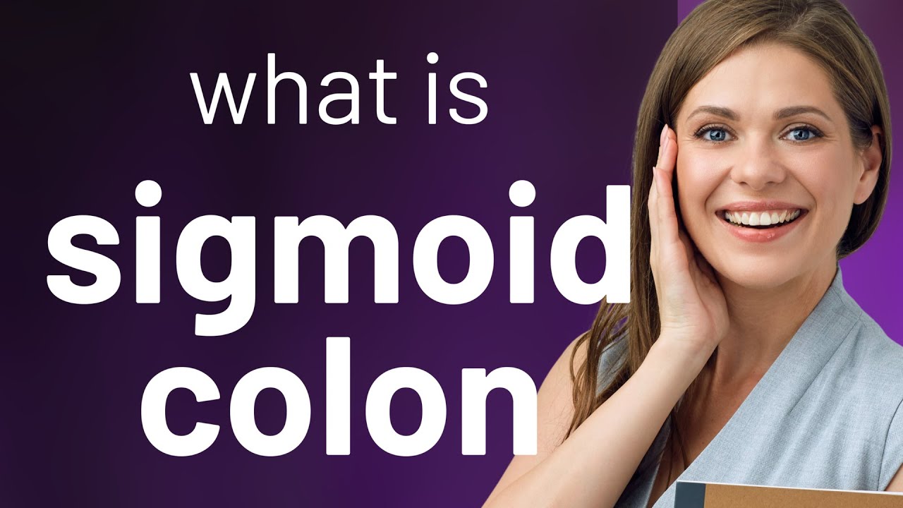 Sigmoid colon — what is SIGMOID COLON definition - YouTube