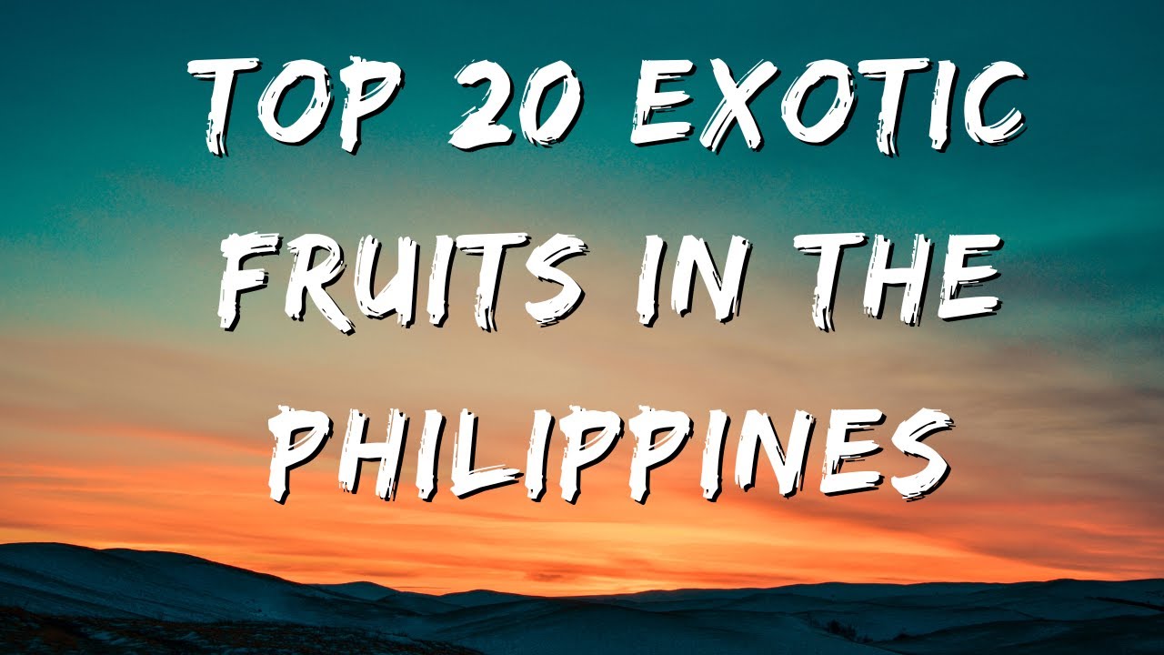 "Top 20 Must-Try Fruits in the Philippines: Discover the Exotic Flavors ...
