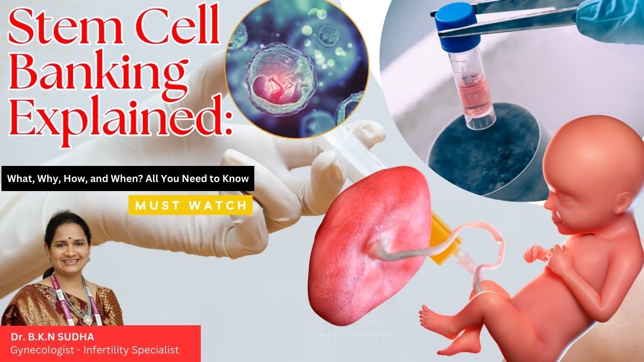 Stem Cell Banking Demystified: What It Is, Why It’s Important, How It ...