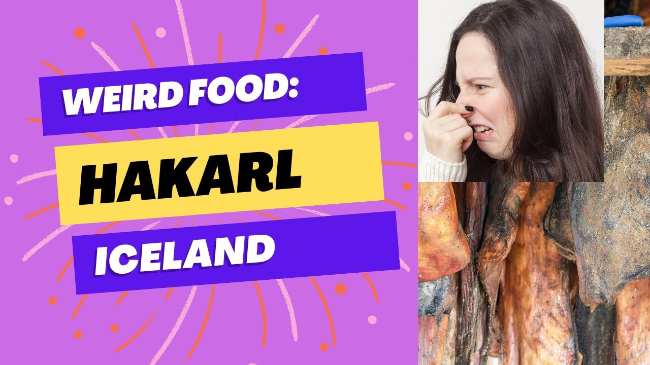 Weird Foods :Hákarl The Fermented Shark of Iceland - YouTube